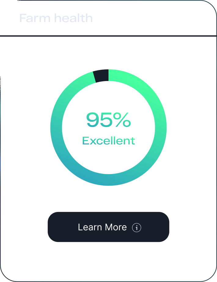 Official CHIA pool - Findchia.com advanced Chia mining pool (XCH)